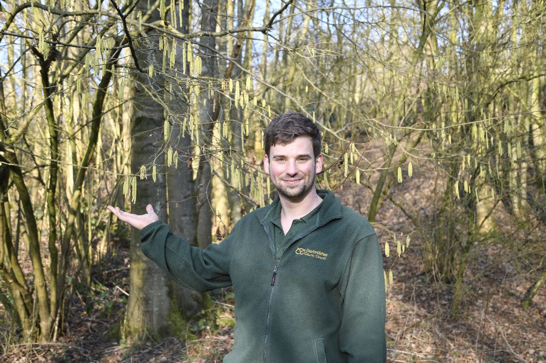 People urged to spruce up their garden in free tree giveaway ...